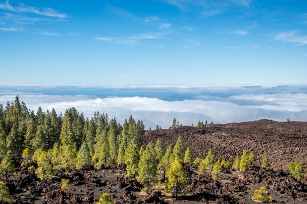 The Ultimate Guide to Visiting Mount Teide - Travel Addicts