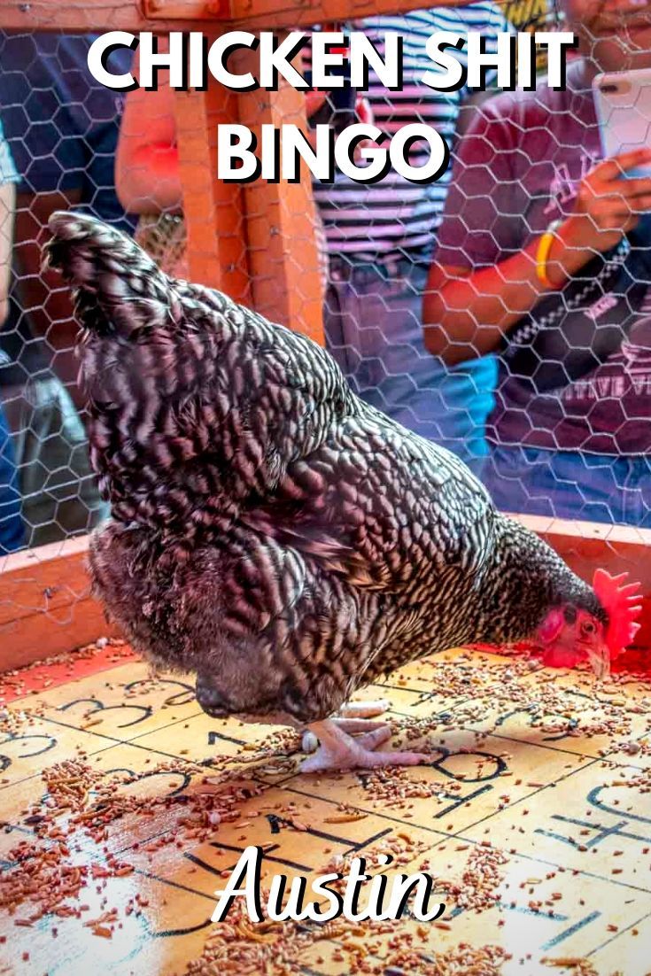 Chicken Shit Bingo: What to Know Before You Play Austin's Popular Game